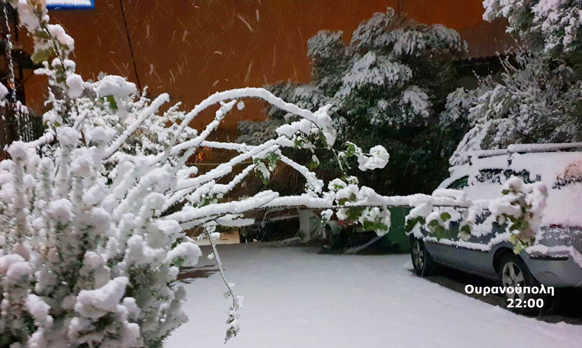 Χιονίζει ασταμάτητα στην Ουρανούπολη -22.00- ΦΩΤΟ - Χαλκιδική Ειδήσεις ...